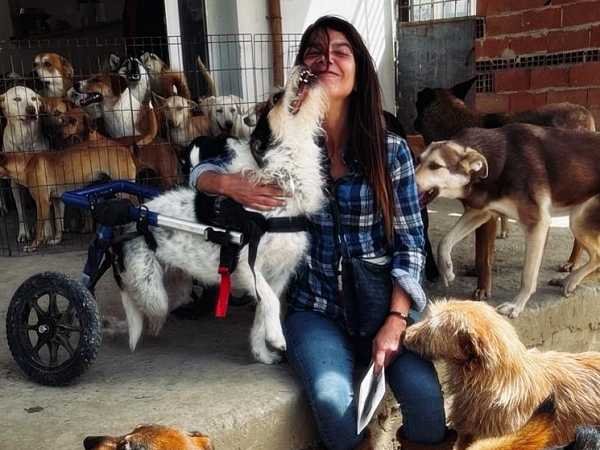 650 animals in Tangier - Helping Stray Animals World Wide